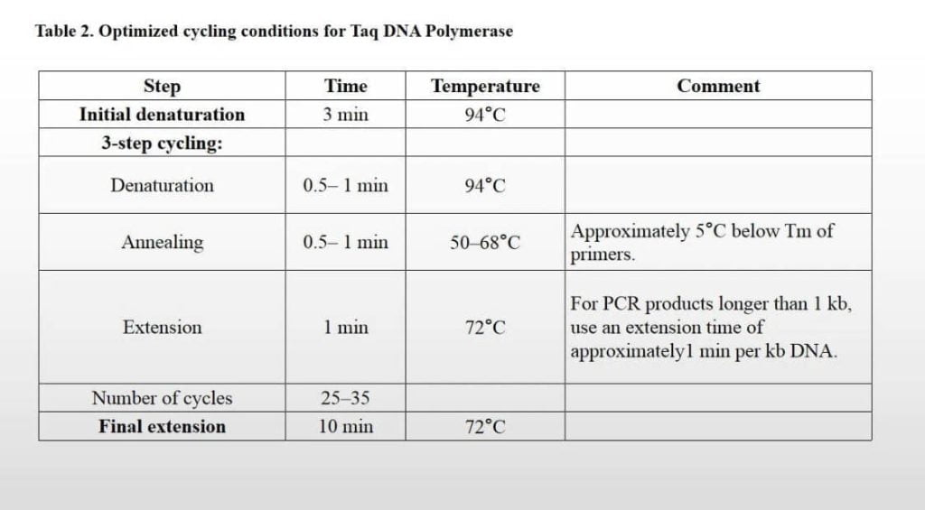 SENO Taq DNA Polymerase PCR Kit 200T - DNA Testing Experts
