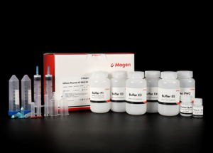 HiPure Plasmid EF Midi Kit - DNA 테스트 전문가