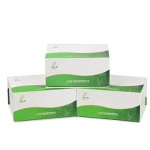 Universal Fluorescent Quantitative DNA Amplification Kit 24T (PCR Probe ...