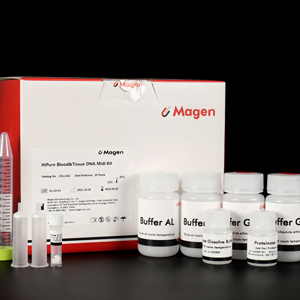 HiPure Tissue&Blood DNA Midi Column Kit - ผู้เชี่ยวชาญด้านการตรวจดีเอ็นเอ