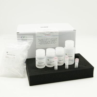Bacterial Genome DNA Extraction Kit - DNA Testing Experts