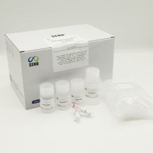 Oral Swab Genomic DNA Extraction Kit - DNA Testing Experts
