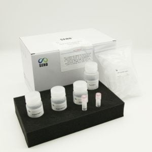 Oral Swab Genomic DNA Extraction Kit - DNA Testing Experts