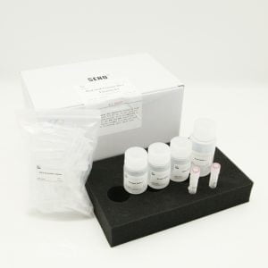 Oral Swab Genomic DNA Extraction Kit - DNA Testing Experts