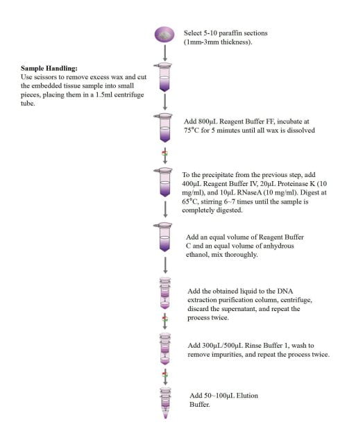 Paraffin-embedded Tissue DNA Extraction Kit - ผู้เชี่ยวชาญด้านการตรวจดีเอ็นเอ