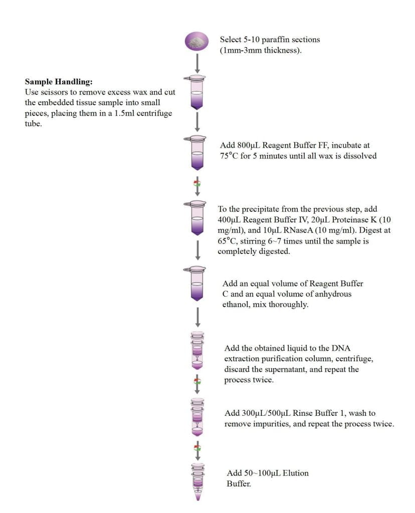 Paraffin-embedded Tissue DNA Extraction Kit - ผู้เชี่ยวชาญด้านการตรวจ ...