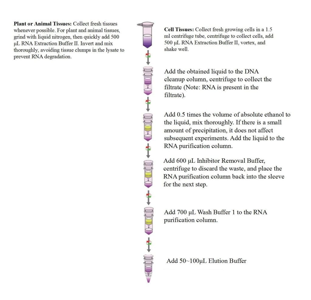 Small Amount Tissue microRNA Extraction kit - ผู้เชี่ยวชาญด้านการตรวจ ...