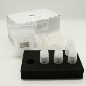 Small Amount Tissue microRNA Extraction kit - DNA Testing Experts