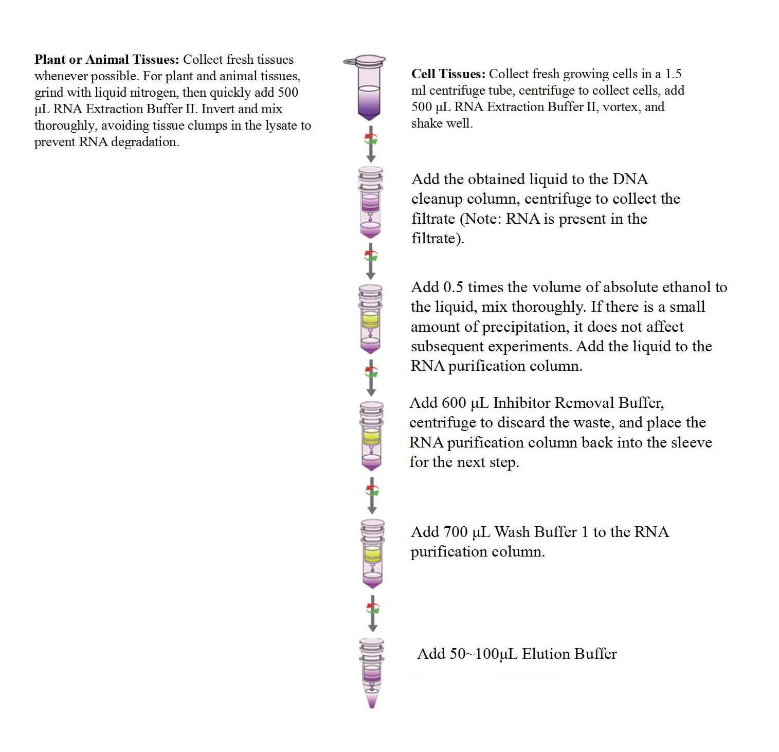 Small Amount Tissue microRNA Extraction kit - ผู้เชี่ยวชาญด้านการตรวจ ...