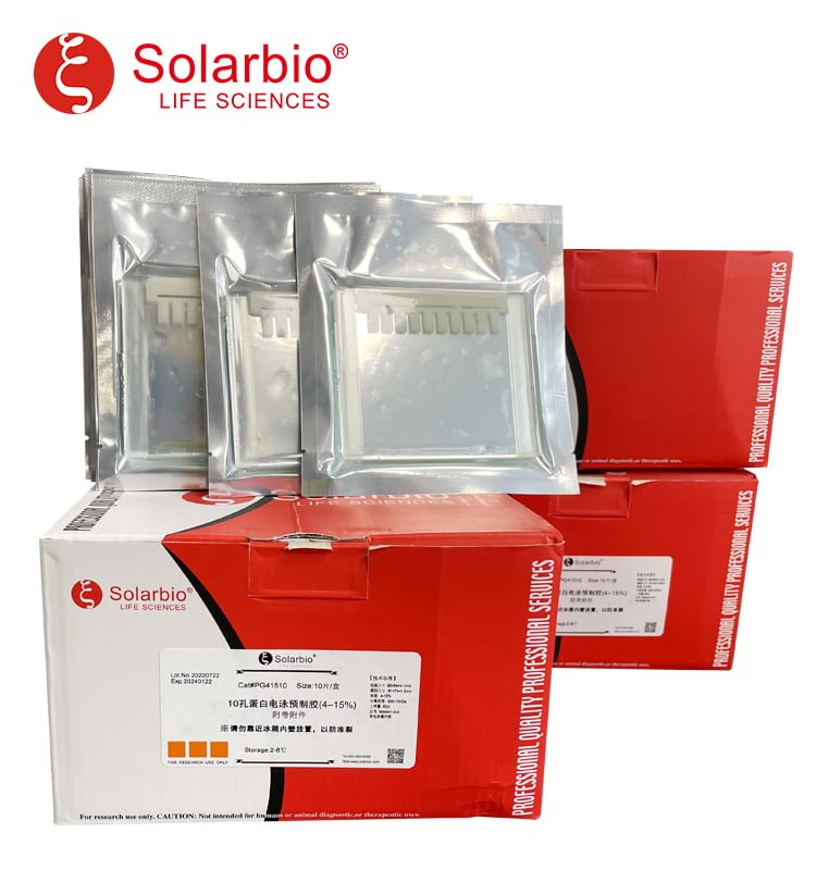 Solar Protein Precast-Gel（Native) 8-20%, 15 wells - DNA 테스트 전문가
