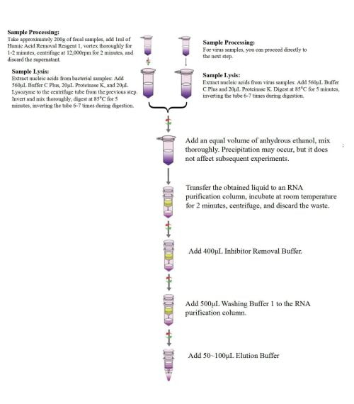 Stool Total RNA Extraction Kit - ผู้เชี่ยวชาญด้านการตรวจดีเอ็นเอ