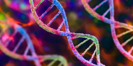 What Does DNA Polymerase Do? Things you should know - DNA Testing Experts