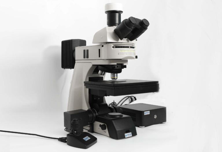 What are the Differences Between Light and Electron Microscopes? - DNA ...