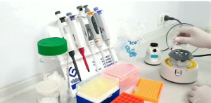 What is PCR Master Mix? qPCR mix? How Do You Make It? - DNA Testing Experts