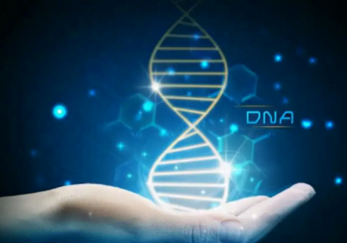 History and development of DNA & RNA extraction technology - DNA ...