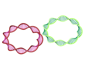 What is Plasmid DNA? Exploring the Functions, Structure, and ...