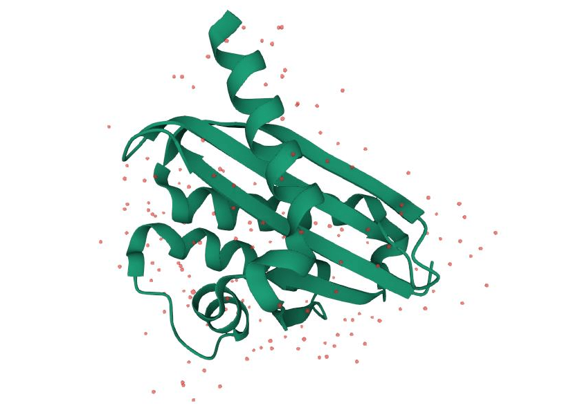 What is RNase H and What Does it Do? - DNA Testing Experts
