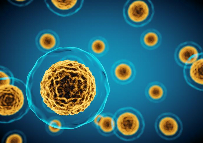 What is AFLP? The Complete Principle and Operation Process - DNA ...