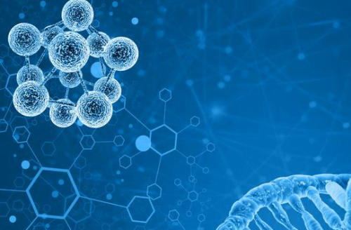 What is In-situ PCR? What Does It Use For? - DNA Testing Experts